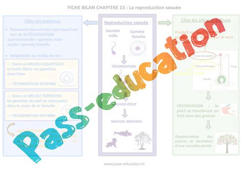 La reproduction sexuée 5ème Evaluation avec les corrigés PDF à