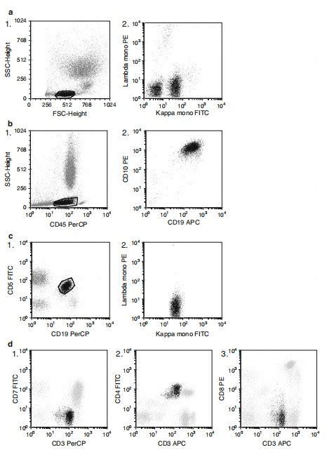 Fc Immunophenotyping Of Hematolymphoid Neoplasia Protocol Creative