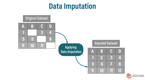 What You Should Know About Data Imputation EDUCBA