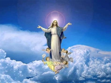 B S U T P H Nh Nh C M Maria C C Ch T Full K V I H N Nh