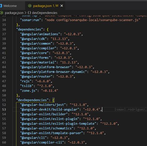 Package Json Updating Angular Packages With Ng Update To Version 13