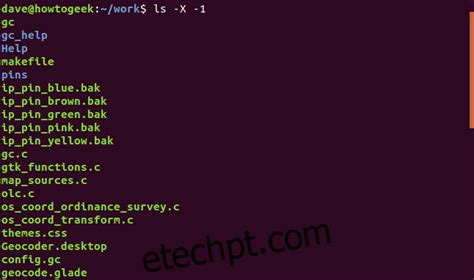Como usar o comando ls para listar arquivos e diretórios no Linux