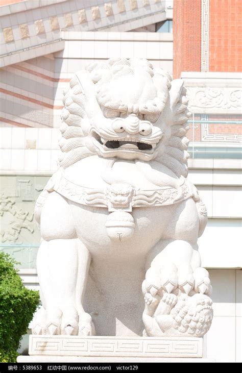 石狮雕刻艺术高清图片下载 红动中国