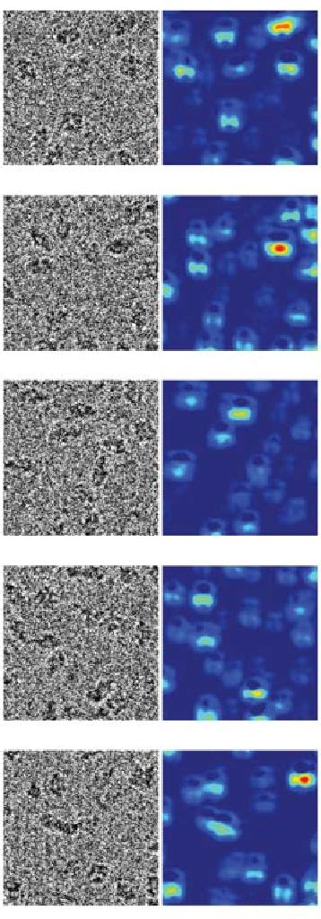 figure 4 from automated particle picking in cryo electron micrographs using deep regression