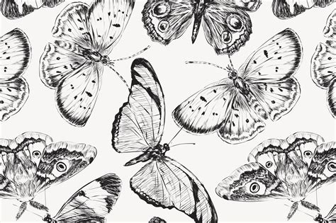 Black And White Butterfly Wallpapers Wallpaper Cave