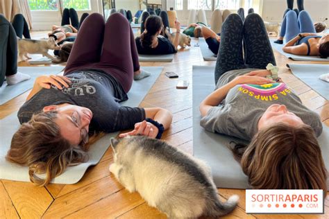 Puppy Yoga Paris des séances de yoga tout en câlins avec d adorables