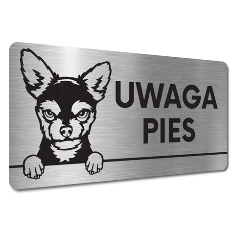 TABLICZKA UWAGA PIES ZŁY PIES GROŹNY Chihuahua 13511241227 Allegro pl