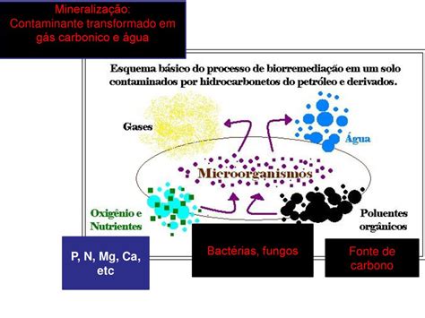 BIORREMEDIAÇÃO O que é Josimara Rondon ppt carregar