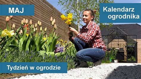 Maj W Ogrodzie Kalendarz Ogrodnika Na Prace Ogrodnicze