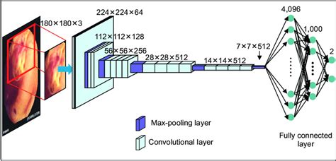 sample of a deep convolutional neural network based ulcer detection download scientific diagram