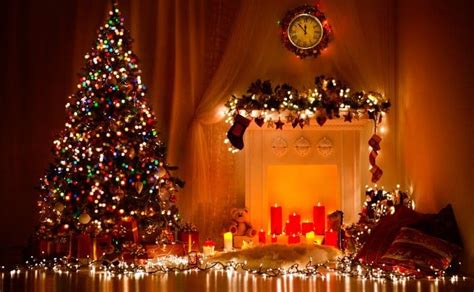 Cuánto nos va a costar poner el árbol esta Navidad esto es lo que