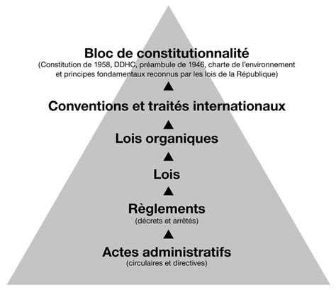 Chen Gai France bloc de constitutionnalité