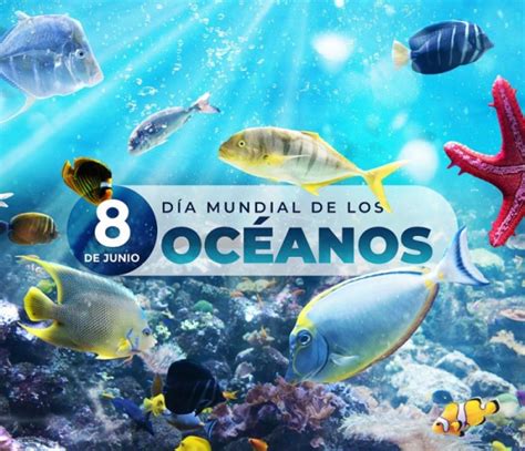 Día Mundial de los Océanos 8 de junio de 2023 CEFIRE Específic d