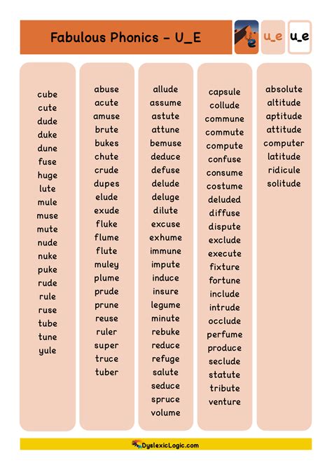 Long Vowel U E Resources Dyslexic Logic