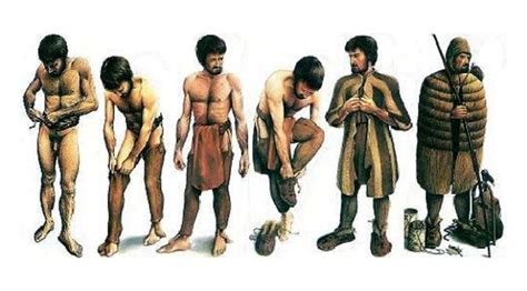 History Of Clothing How Were Clothes Invented
