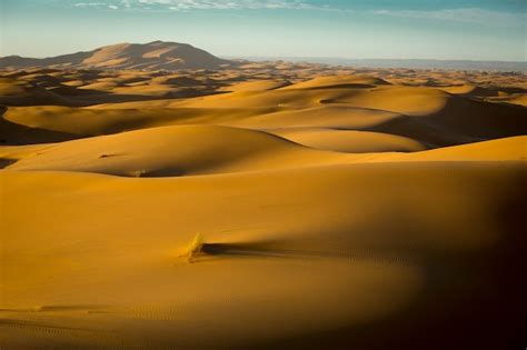 Dunas De Arena En El Desierto Del Sahara Foto Premium