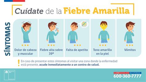 Vacuna fiebre amarilla Chile Orden médica y material informativo