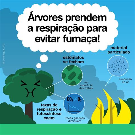 Bacias hidrográficas do RS arvoreagua Descubra o mundo de