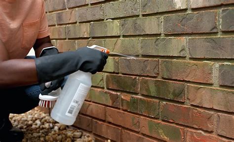 Brick Cleaning Solution All You Need To Know Cleanestor
