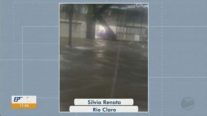 Chuva forte em Rio Claro derruba árvore alaga ruas e casas e afeta