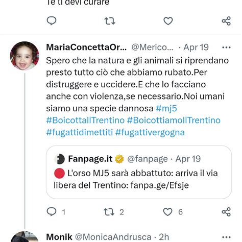 Monik On Twitter L Orso Non Dovrebbe Essere Ucciso Ma Rinchiuso Da