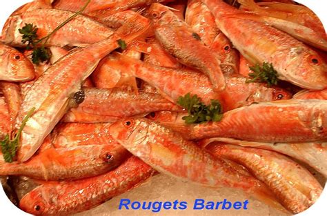 Dictionnaire De Cuisine Et Gastronomie Rouget