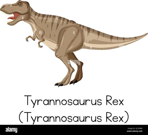 Tyrannosaurus Rex Roaring On White Background Illustration Stock Vector
