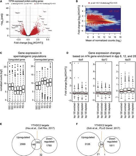 Dramatic Alteration Of Transcriptome In Ythdc2 IKO Pachytene