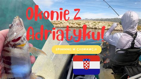Okonie Na Spinning Z Adriatyku Kajakiem W Dkarskim Do Chorwacji Youtube