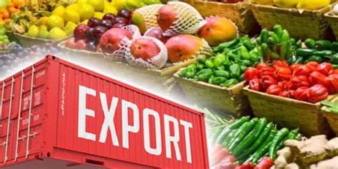 Indias Farm Exports Are On A Rising Curve Indian Century