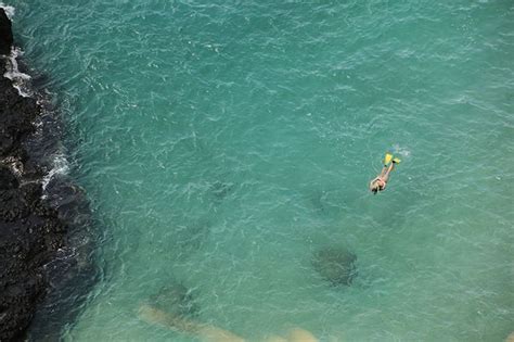 Fernando De Noronha O Que Fazer Quando Ir Como Chegar E Mais