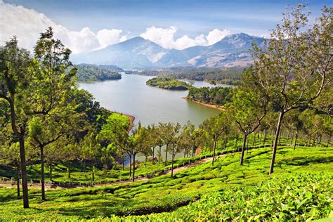 Kerala Tours 3 Unique Itineraries Rough Guides