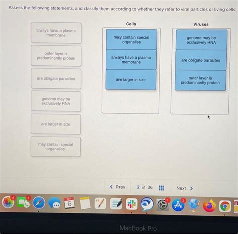 Solved Assess The Following Statements And Classify Them Chegg