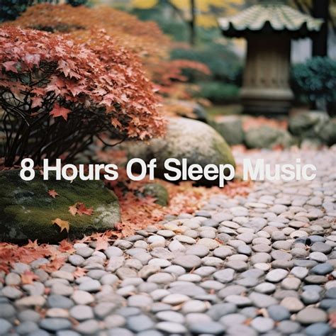 8 Hours Of Sleep Music Album By Binaural Beats Musica Para Dormir