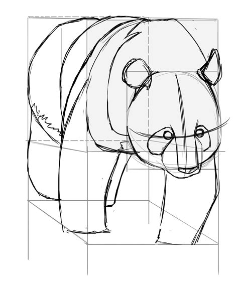 Comment Dessiner Un Panda Panda Dessin Comment Dessiner Un Panda Dessin