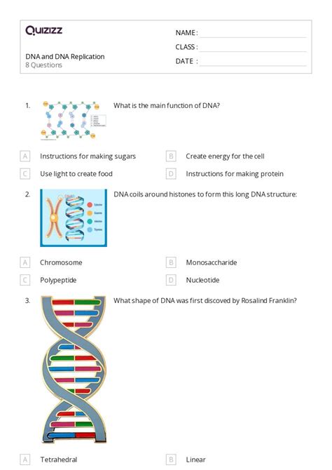 50 Dna Structure And Replication Worksheets For 11th Grade On Quizizz