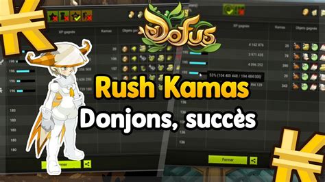 DOFUS FARM DE KAMAS RUSH DONJONS SUCCES POUR LES RESSOURCES