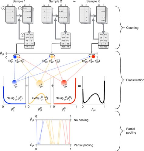 a bayesian mixture model for the analysis of allelic expression in single cells nature