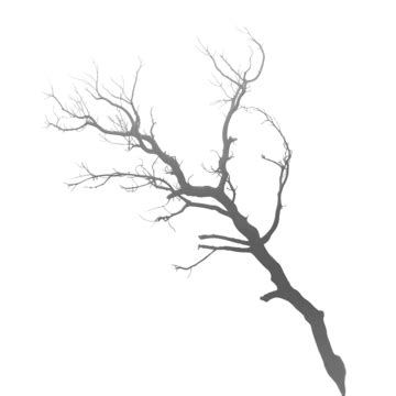 Realistic Shadow Effect Realistic Drop Shadow PNG Transparent Image