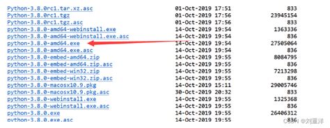Windows 安装 Pyenv win Python 多版本管理工具 windows python版本管理 CSDN博客