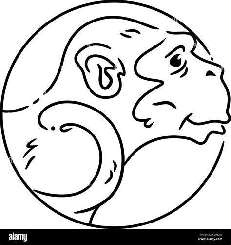 Ilustración simbolizando el Año del Mono Fotografía de stock Alamy
