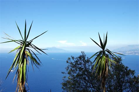 I 5 luoghi più belli da visitare nella Penisola Sorrentina