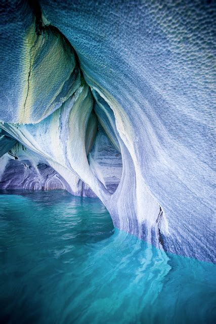 The Most Beautiful Flora Vaginas In The World