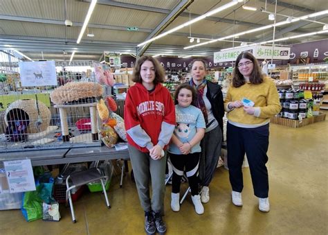 Pacy sur Eure des chats à adopter chez Gamm Vert