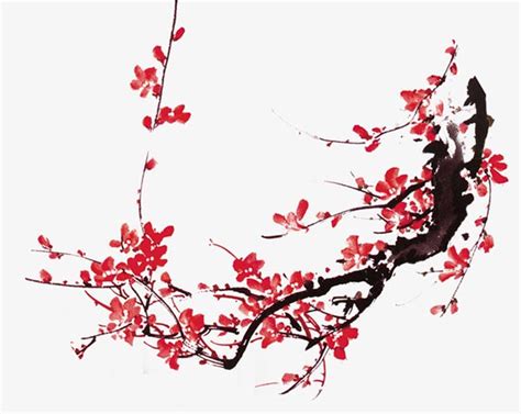 水墨梅花 素材CNN