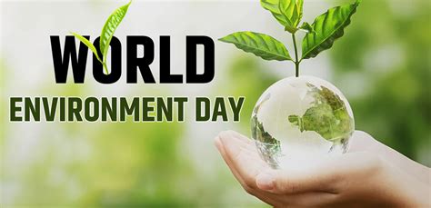 World Environment Day 2023 Beat Plastic Pollution