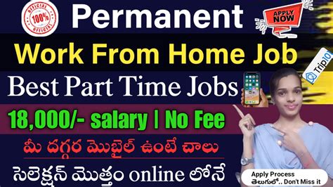 Trip 101 Pvt Ltd Permanent Work From Home And Part Time Job In Telugu