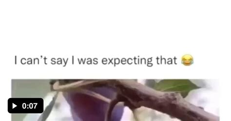 Thanos 9GAG