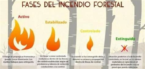 Ltima Hora Del Incendio De Azu Bar Las Cuatro Fases De Un Incendio