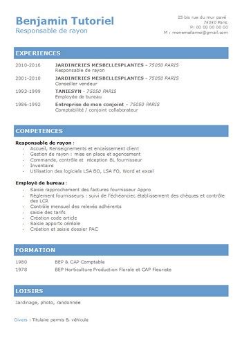 Exemple De Cv Gratuit Sans Photo